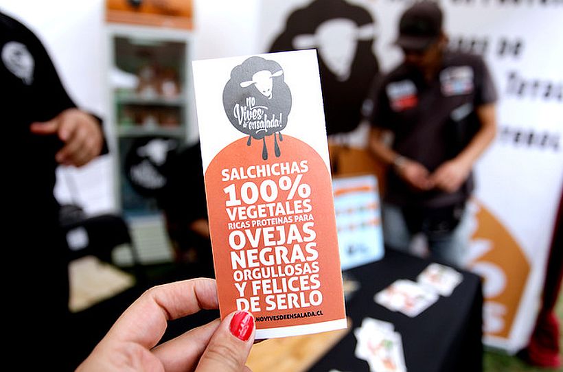 Vegasexuales ¿de Qué Se Trata Esta Nueva Tendencia 