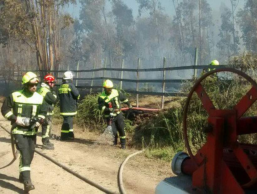Onemi Decretó Alerta Roja Para Incendio Forestal Registrado En Santo