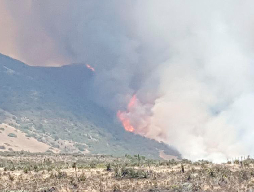 Onemi declaró alerta roja para la comuna de Quilpué: incendio forestal ... Onemi declaró alerta roja para la comuna de Quilpué: incendio forestal ...