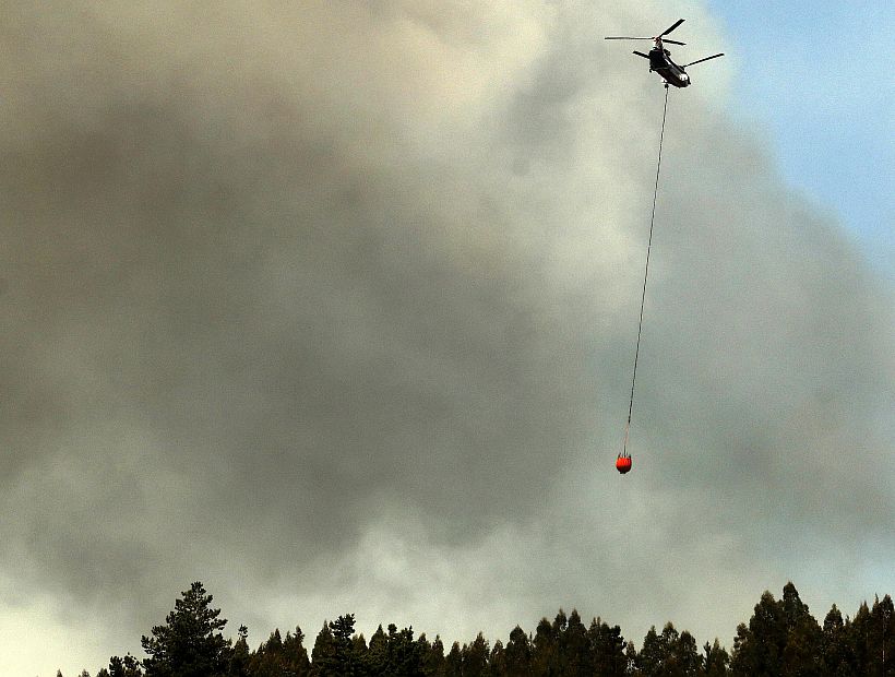 Tomé y Los Ángeles son las comunas que registran la mayor cantidad de incendios forestales de la ...