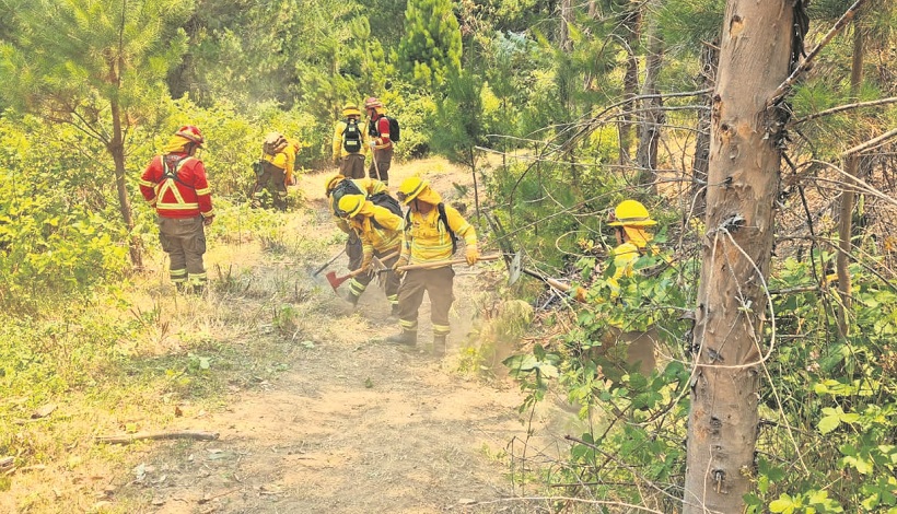 Onemi Canceló La Alerta Roja Por Incendio Forestal En Las Comunas De