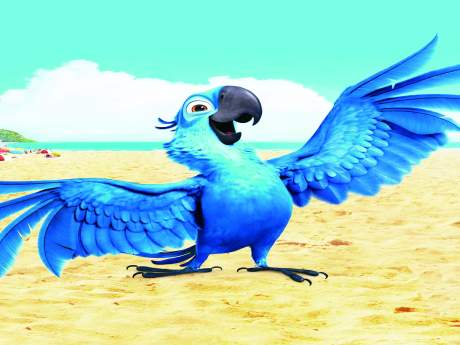 La película Rio es un éxito de público en Cine Antay de Copiapó