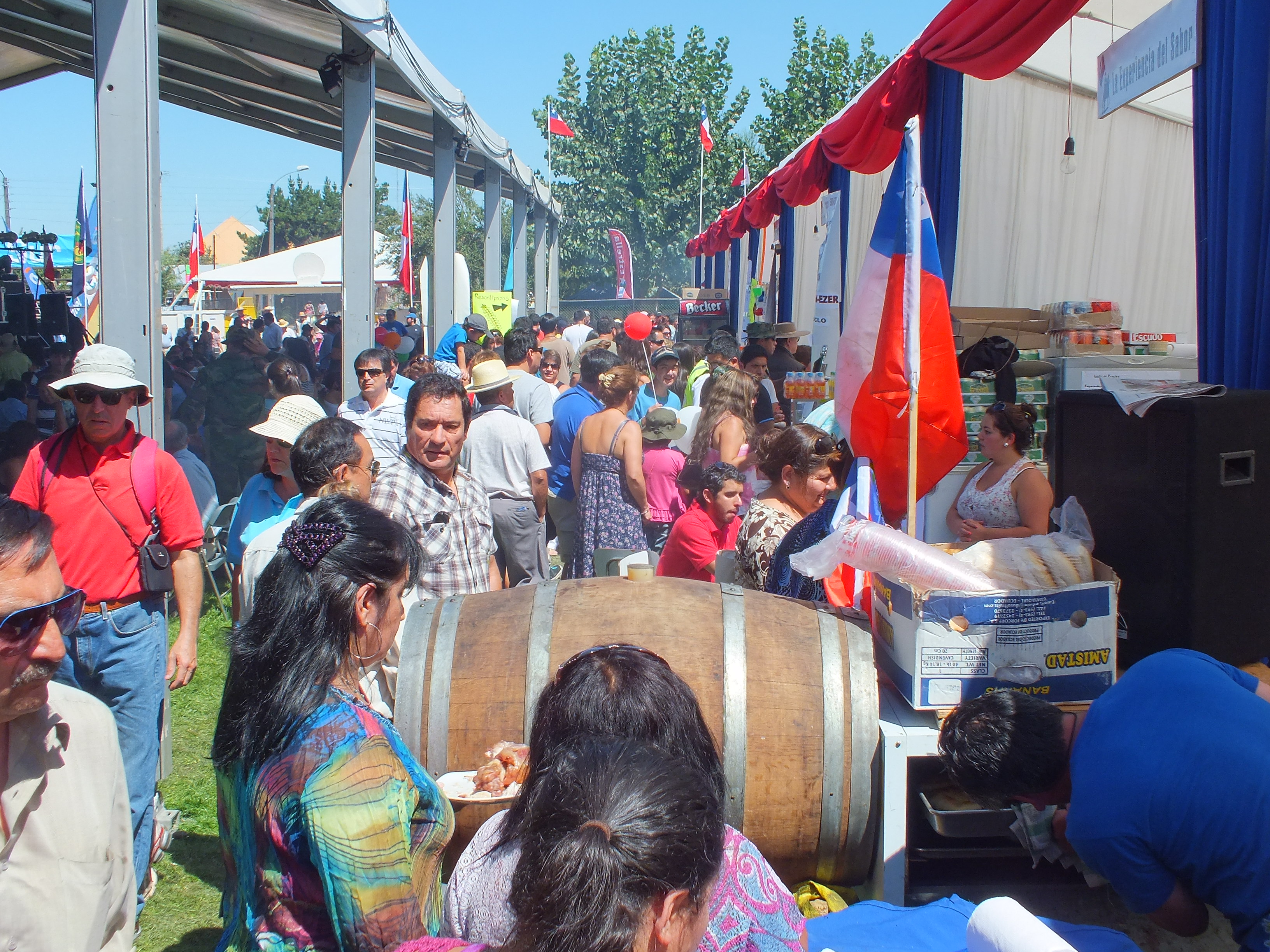 Más de 30 mil personas visitaron la Fiesta de la Chilenidad en Quillón