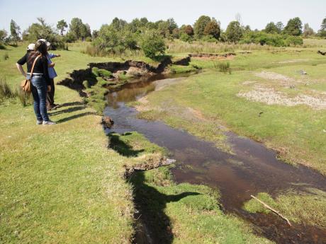 Pugna por intención de llevar museo Monte Verde a Puerto Varas