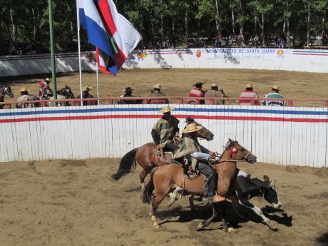 El Rodeo de Santa Juana seleccionó a 17 colleras para el regional de ...