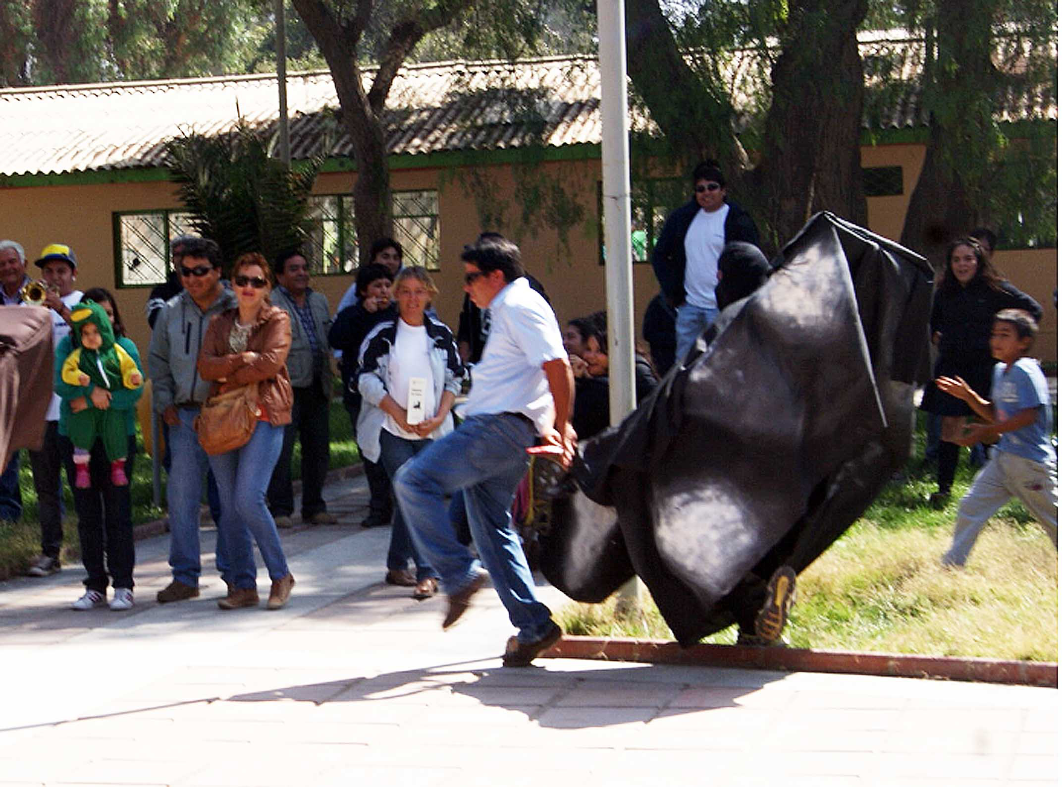 En Tierra Amarilla fue lanzado el segundo Carnaval del Toro Pullay del ...