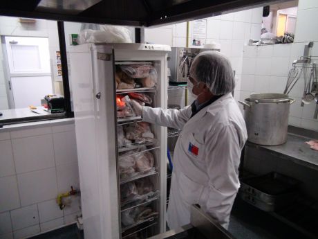 Pollo contaminado pudo causar la intoxicación masiva de funcionarios ...