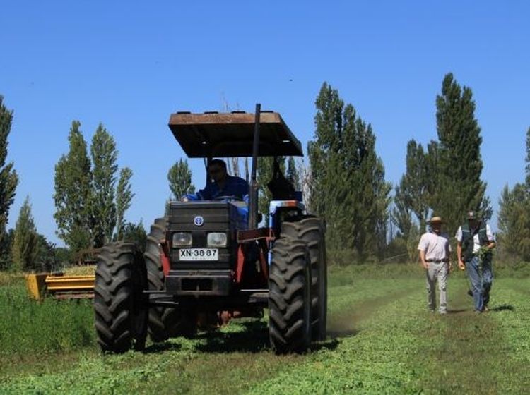 El SAG Bío Bío inició el proceso de postulación a incentivos del ...
