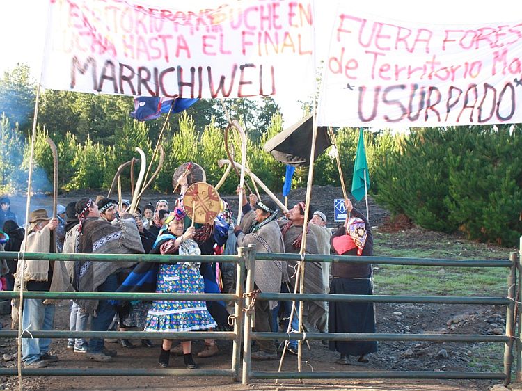 Comuneros mapuche se tomaron un fundo de la Forestal Mininco en Imperial