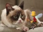 ¡Grumpy Cat ahora hace publicidades y es una marca registrada!