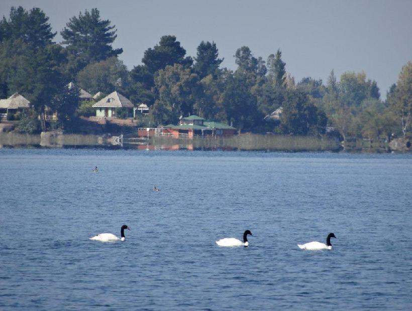 Quillón destaca entre los destinos más requeridos por turistas en la región