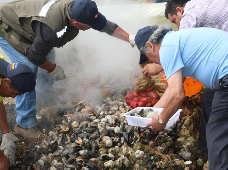 Más de 10 mil personas dieron vida a 14 versión de Curanto Gigante de ...