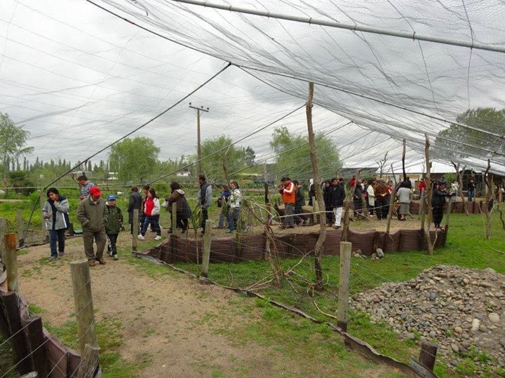 Bioparque Quillón: el panorama ideal para visitar en familia | soychile.cl