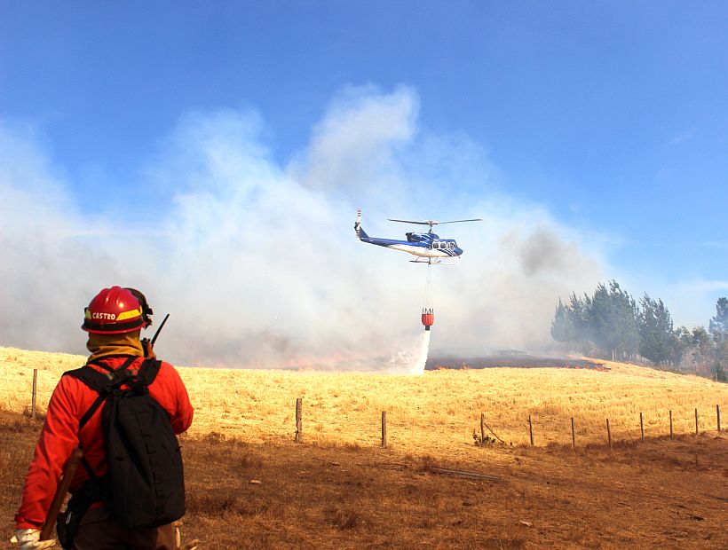 Incendio forestal en Mininco ha arrasado más de 900 hectáreas | soychile.cl