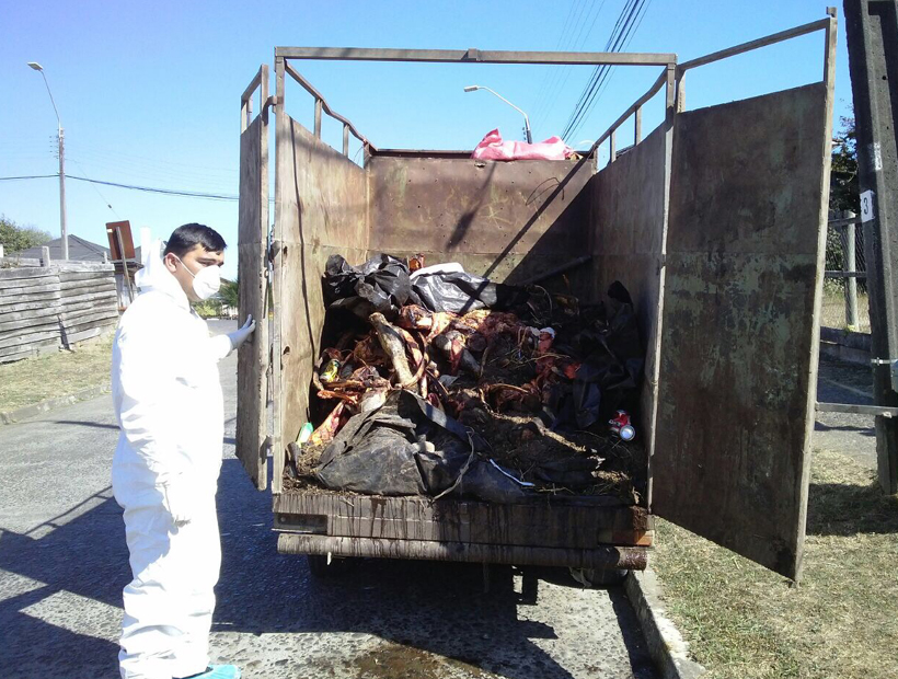 Formalizaron a tres hombres tras descubrir un matadero clandestino en ...