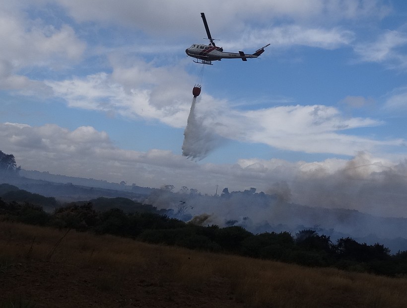 Según Informe De La Onemi 23 Incendios Forestales Permanecen Activos