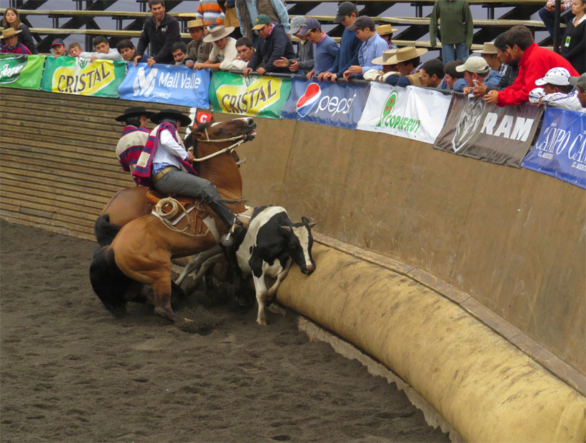 Lama y Martínez ganaron la primera Libre A de Rodeo en Curicó