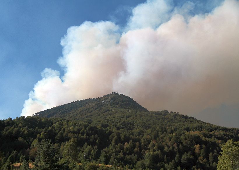 Tragedia ecológica: incendio en China Muerta ha consumido tres mil ...