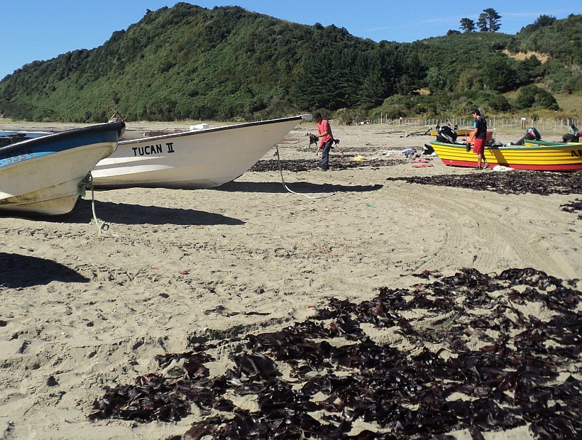 Vecinos de Chaumán en Ancud utilizan correctamente el borde costero