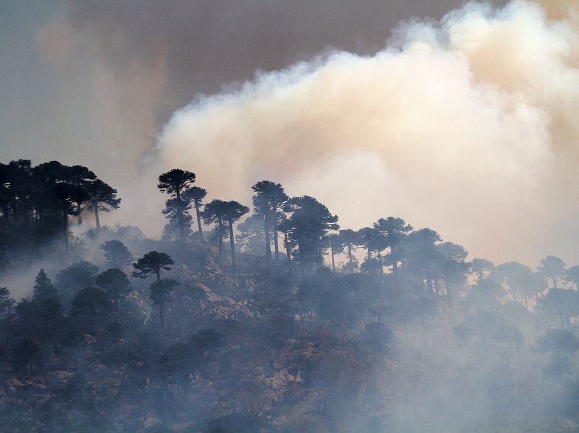 Tras 25 días y 6.599 hectáreas destruidas, Conaf declaró controlado el ...