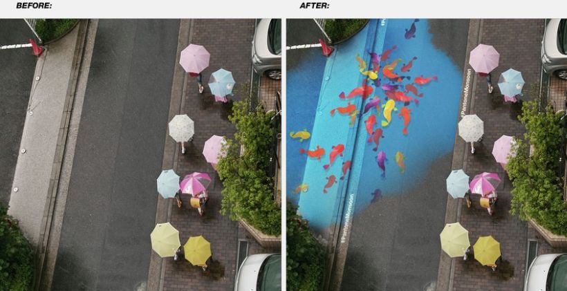 Como por arte de magia: las calles de Corea del sur se llenan de color ...