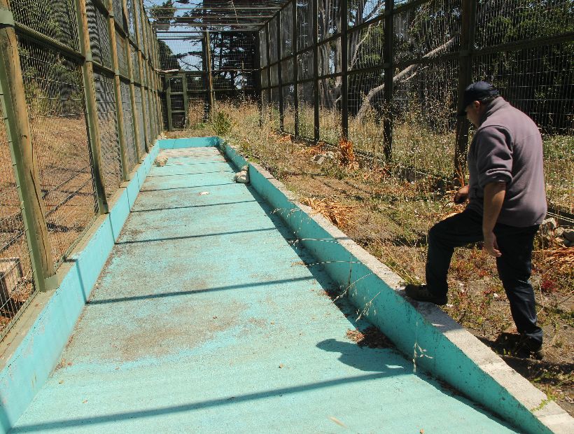Presentarán acciones legales para sacar a directivos regionales de ...