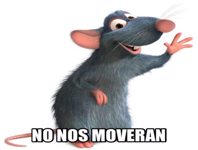 Los memes que han invadido las redes sociales tras la presencia de ...
