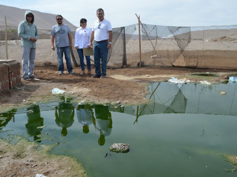Arica: pozo séptico colapsado tiene en vilo a vecinos de población San ...