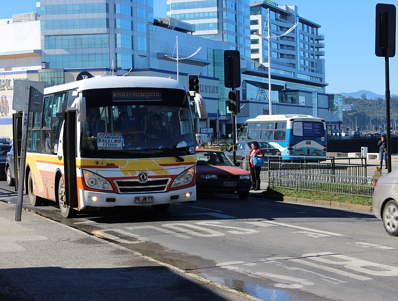 Abrieron las postulaciones a subsidios para renovar las micros en Los Lagos