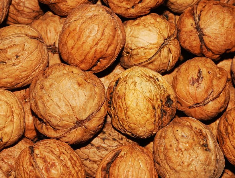 ¿Por qué la nuez es el fruto seco que deben consumir las mujeres?
