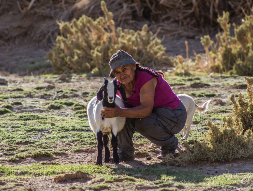 Comunidades indígenas de Atacama participaron en diálogos sobre cambio ...