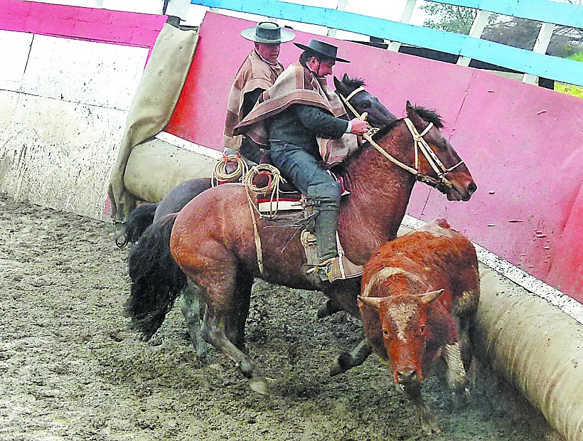 Fiesta del rodeo en Puerto Varas resistió el clima