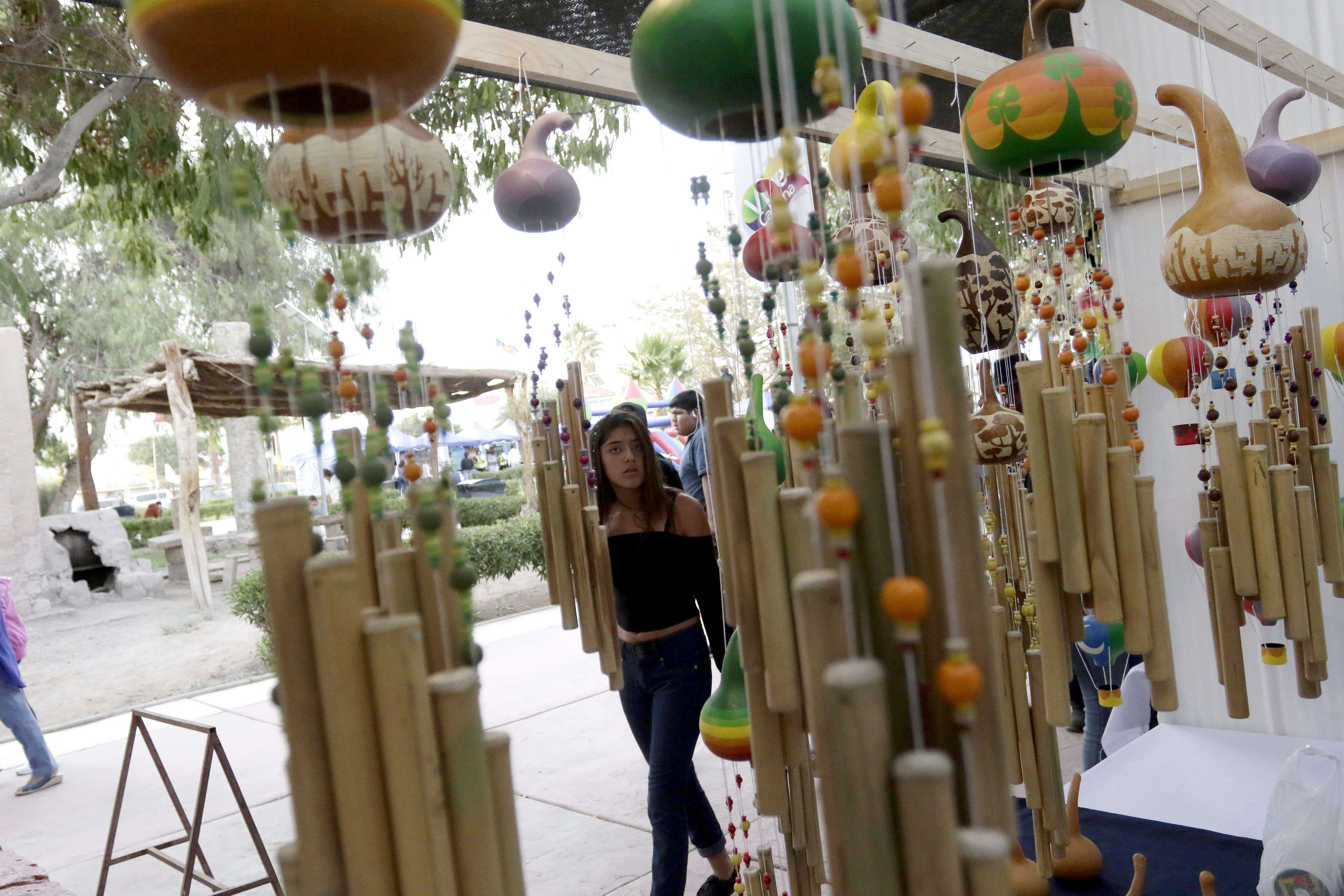Abrió sus puertas la tradicional Feploa de Calama