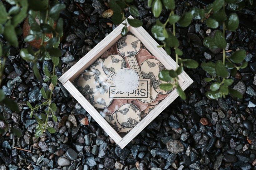 Chilenos crearon innovadores stickers a partir de madera recuperada