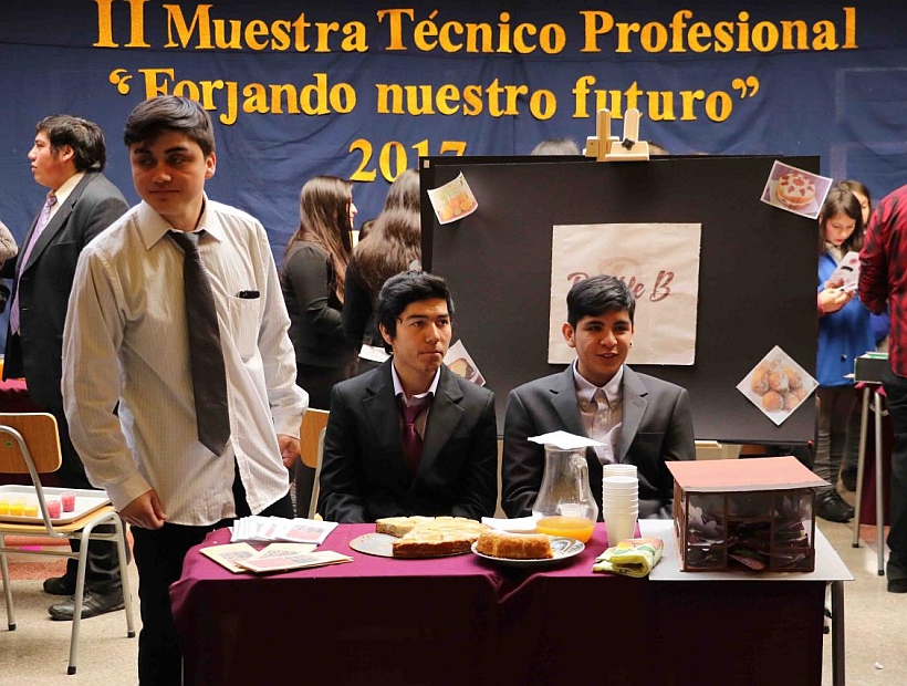 Rosita Novaro Logo Flujogramas Plan Retencion Escolar Colegio Rosita