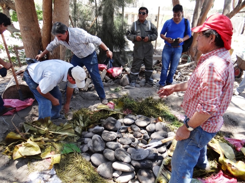 Facultad de Ciencias Agronómicas de UTA celebra aniversario con una ...