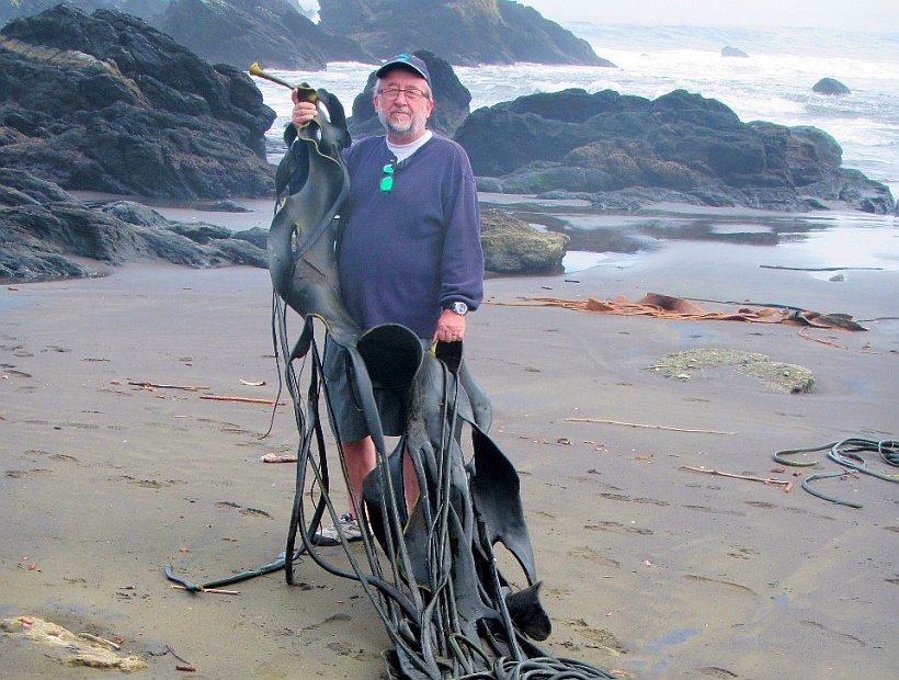 Llaman a investigador de la ULagos a integrar comisión científica en Canadá