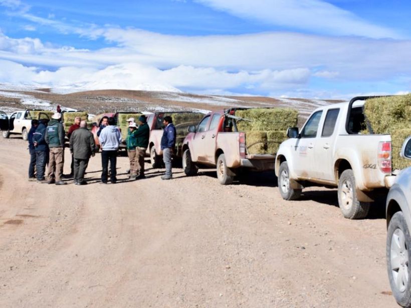 Despliegue territorial cubre con éxito primera entrega de alimento para ...