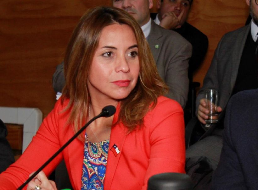 Seremi Ann Hunter valoró el diálogo entre el Gobierno y la oposición ...
