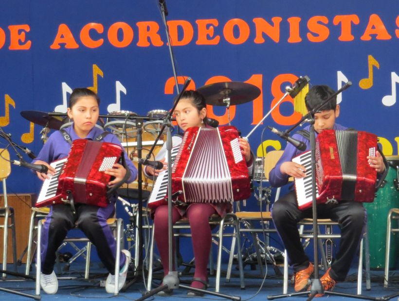 Niños dieron vida a Encuentro Escolar del Acordeón en Queilen