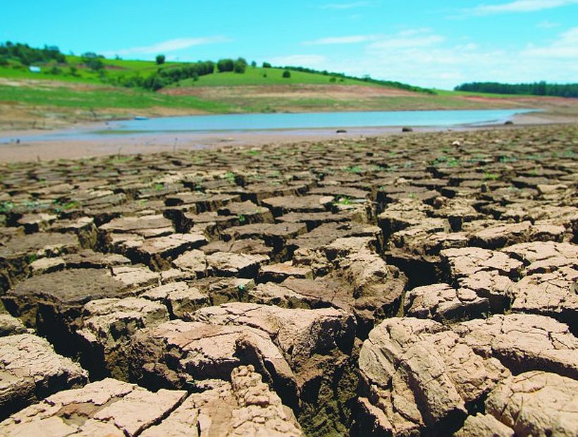 En un mes deberá estar listo el diagnóstico para conocer realidad ...