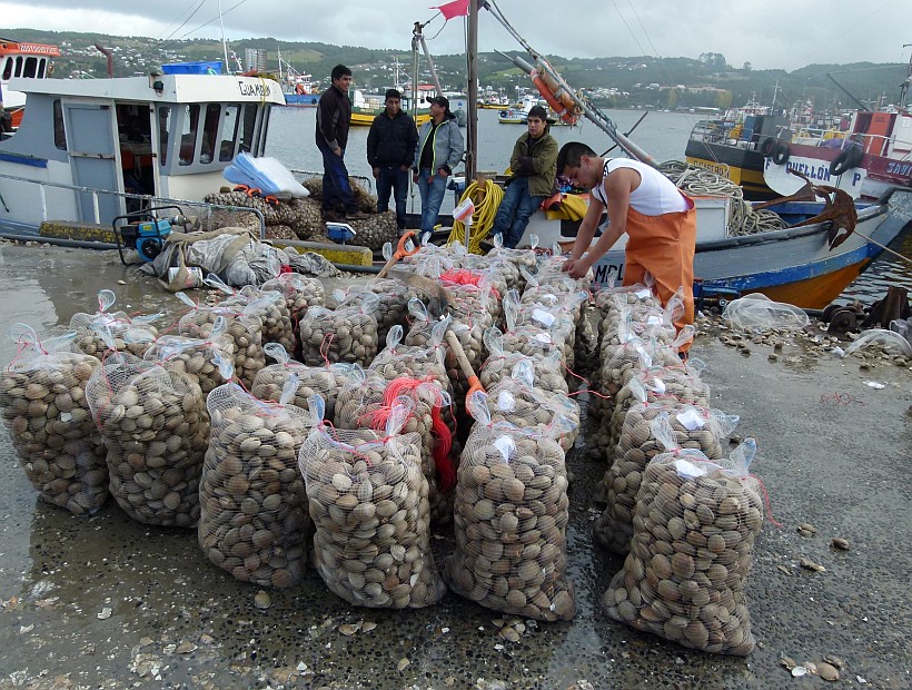 Gobierno anuncia medidas ante rechazo de zonas contiguas | soychile.cl