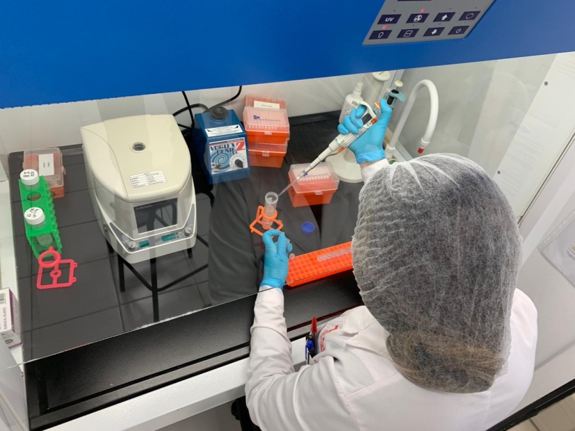 Laboratorio Mowi Chile puede realizar hasta 1.000 análisis diarios de ...