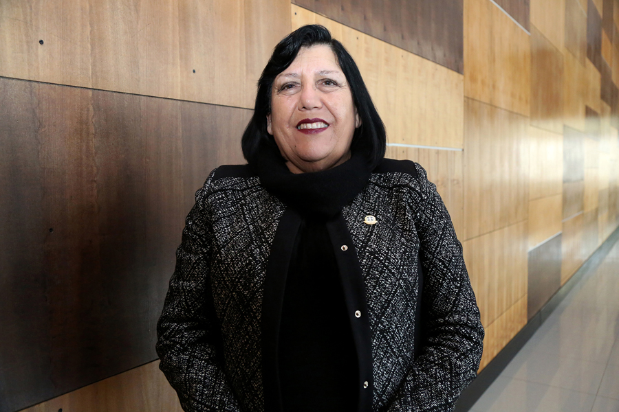 Gloria Rodríguez asumirá en Salud de La Araucanía tras suspensión de ex ...