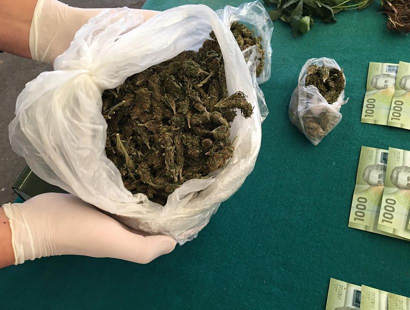 Concepción Pelea Por Droga Terminó Con Dos Detenidos Y Más De 2 500