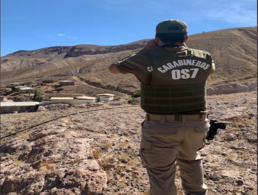 Detienen a mujer que mantenía plantación de marihuana oculta en poblado ...