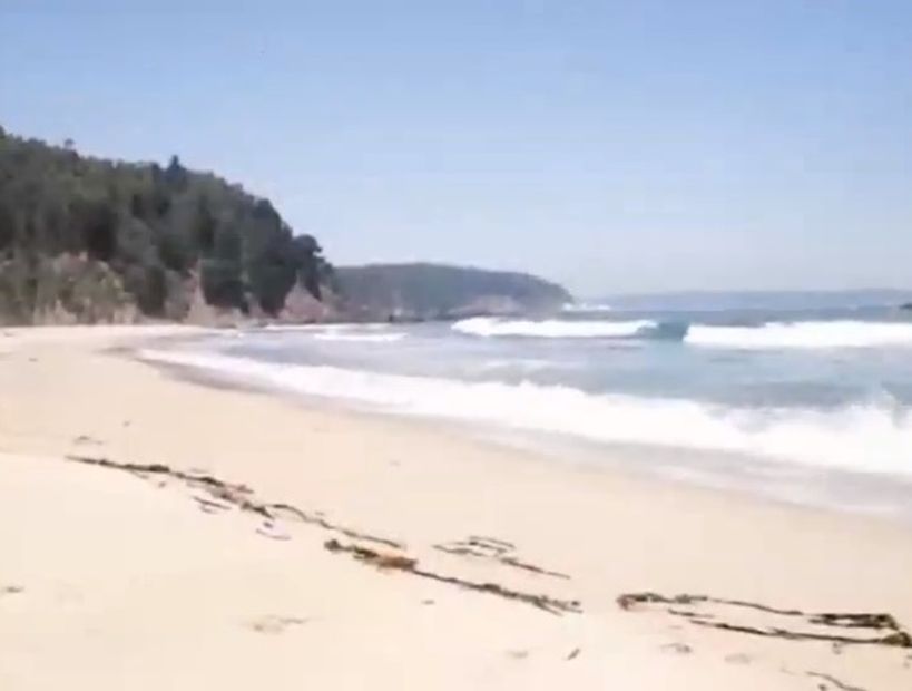Oficializan acceso peatonal libre a la playa Pudá de Tomé | soychile.cl