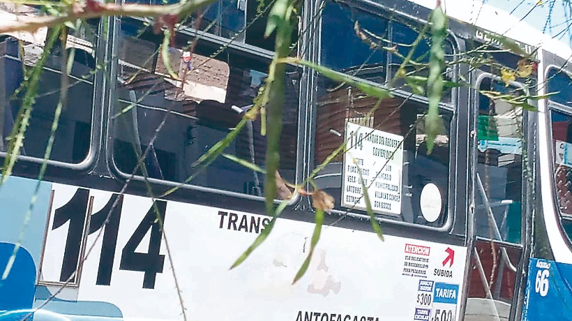 Fiscalizaciones a TransAntofagasta: Línea 114 fue la más multada en 2020