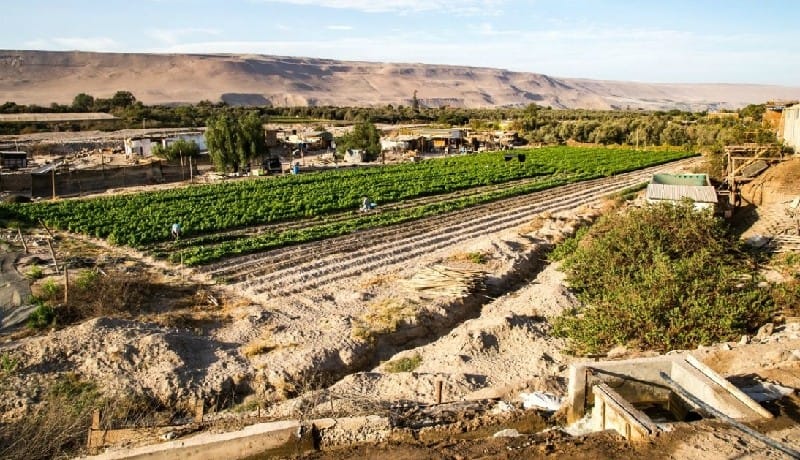 Arica y Parinacota: Creación de nuevas comunas irá a Subdere y Hacienda