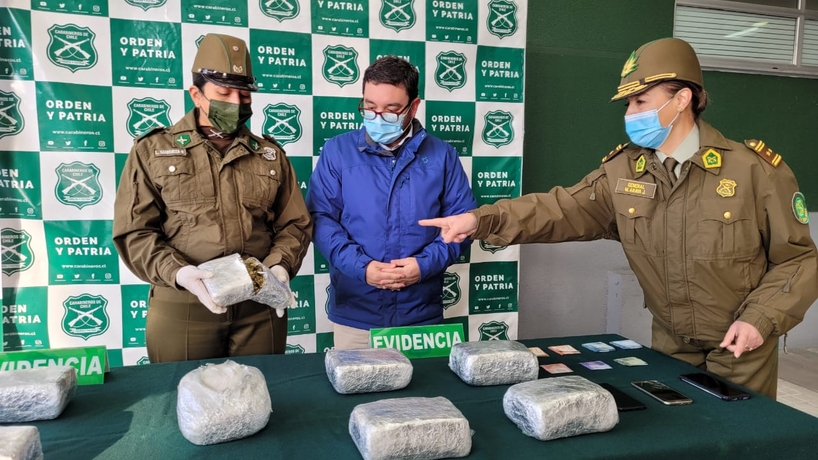 Se logra incautación de 35 mil dosis de drogas en Ñuble avaluadas en 150 millones